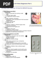 Sample Ultrasound Report | PDF | Adrenocorticotropic Hormone | Medical ...