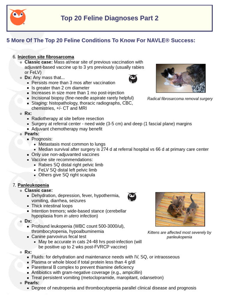 Feline Health: Top Diagnoses & Treatments | PDF | Diabetes | Hyperglycemia