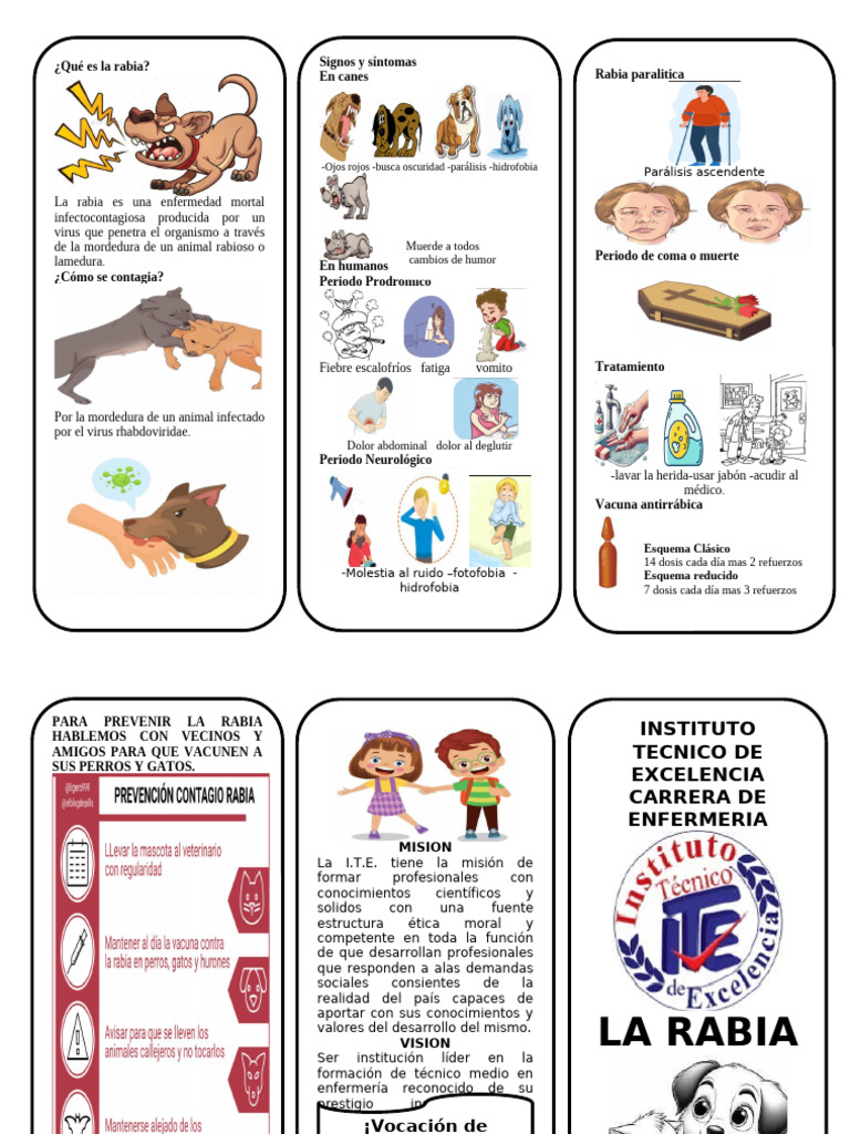 Triptico La Rabia n123456 | PDF | Rabia | Virología