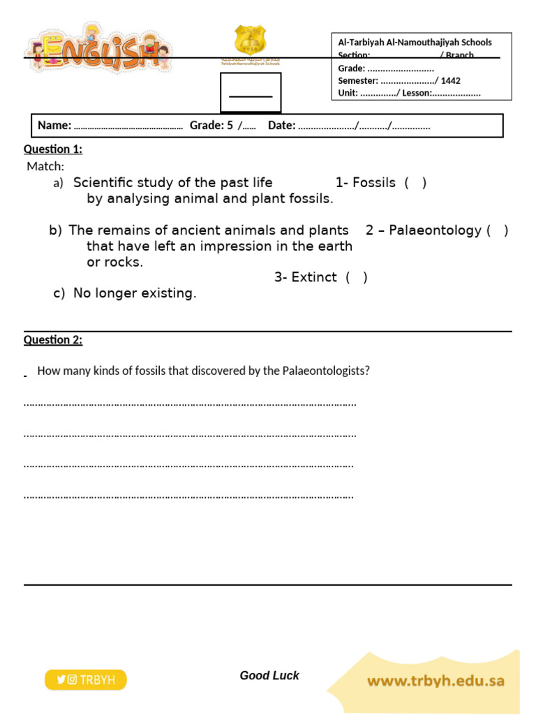 Grade 5 Unit 7 Lesson 8 Worksheet | PDF