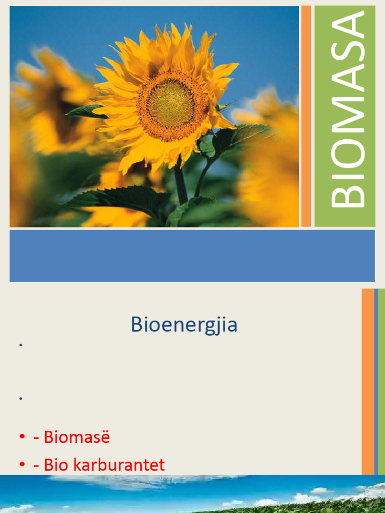 Biomasa | PDF