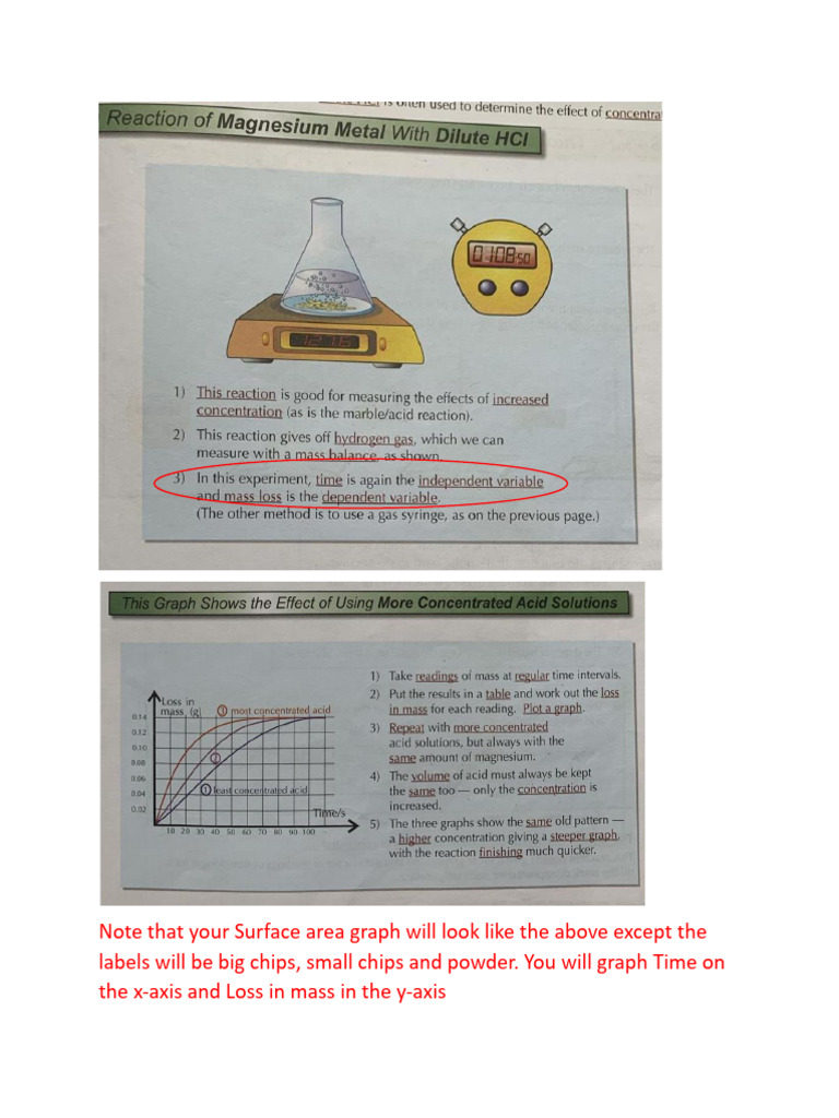 Factors Affecting The Rate of Reaction | PDF