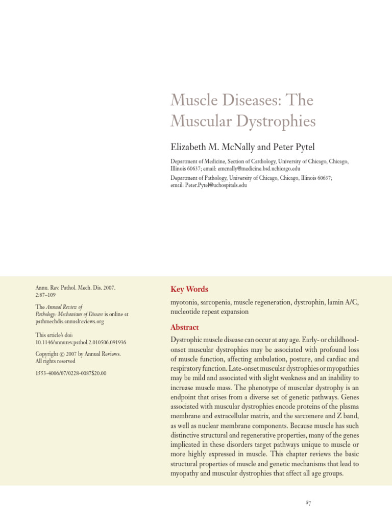 Muscle Diseases-The Muscular Dystrophies | PDF | Skeletal Muscle | Cell ...