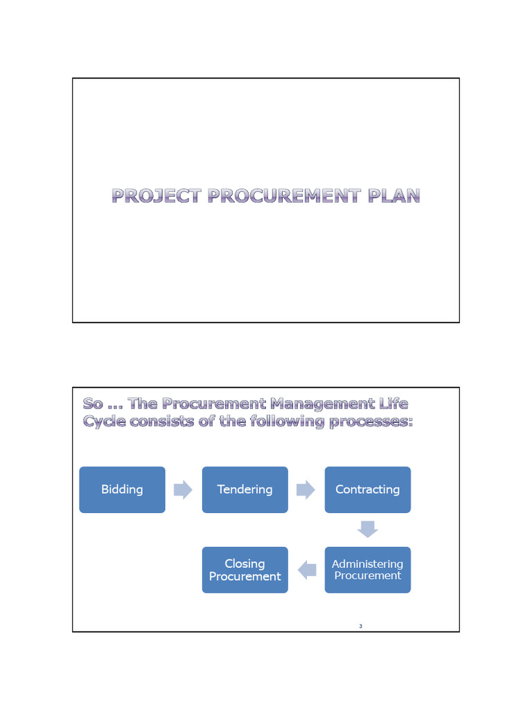 Topic 02 - Project Procurement Plan | PDF | Procurement | Employment