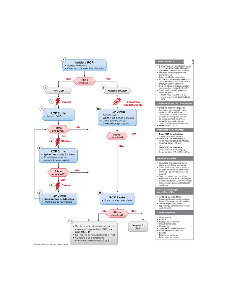 Algorithm-ACLS IVE CA 200802 | PDF
