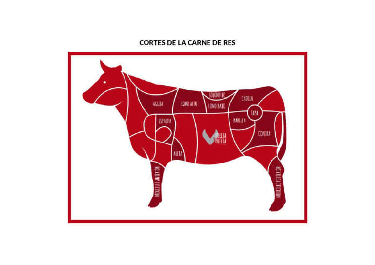 Cortes de La Carne de Res | PDF