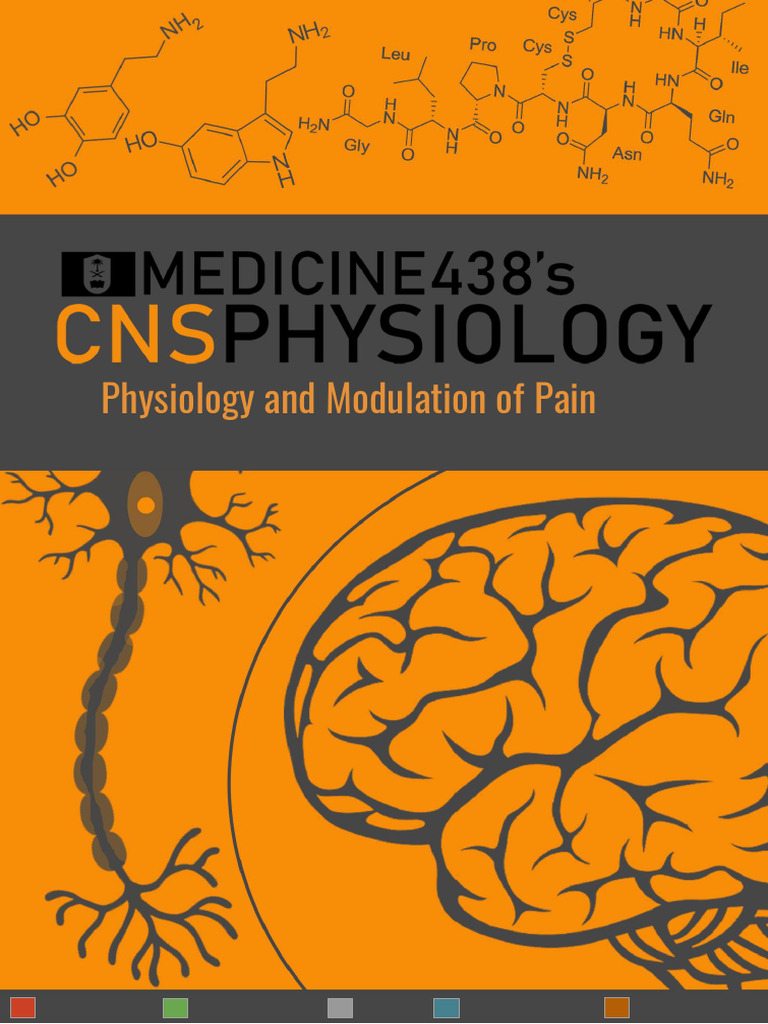 28th Lecture - Physiology of Pain - CNS Physiology | PDF | Pain ...