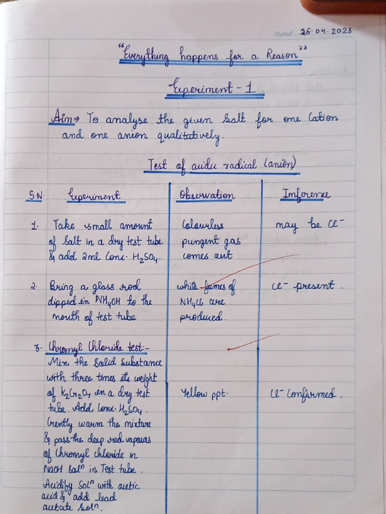Chemistry Practical Work | PDF | Sodium | Chemical Compounds