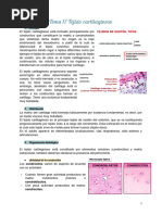 Condroblastos, Condrocitos y Cartílagos | PDF | Cartílago | Articulación