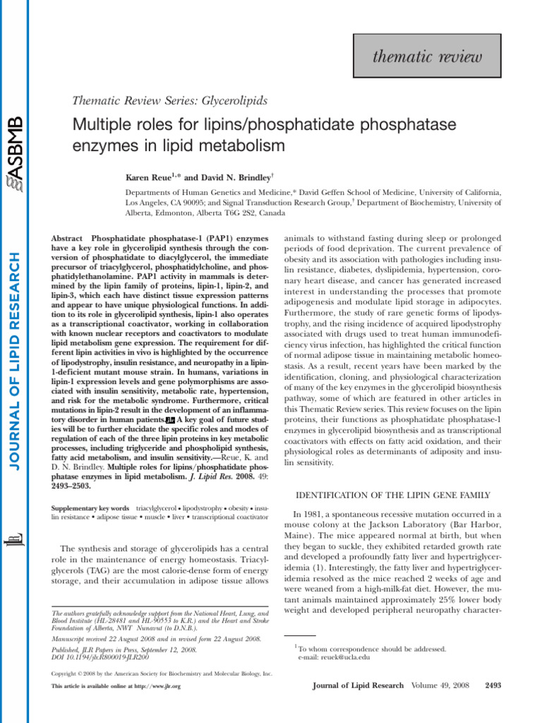 Thematic Review Series Glycerolipids. Multiple Roles For Lipins ...