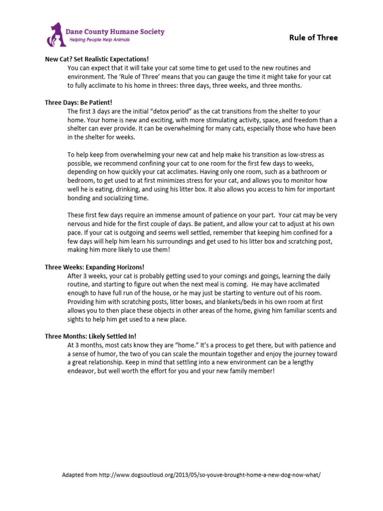 Understanding the Cat Rule of Three | PDF | Cats