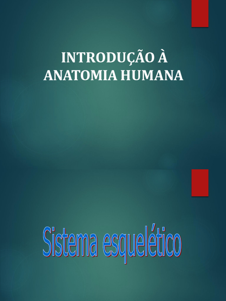 1 Aula Anatomia Atualizada Pdf Osso Anatomia