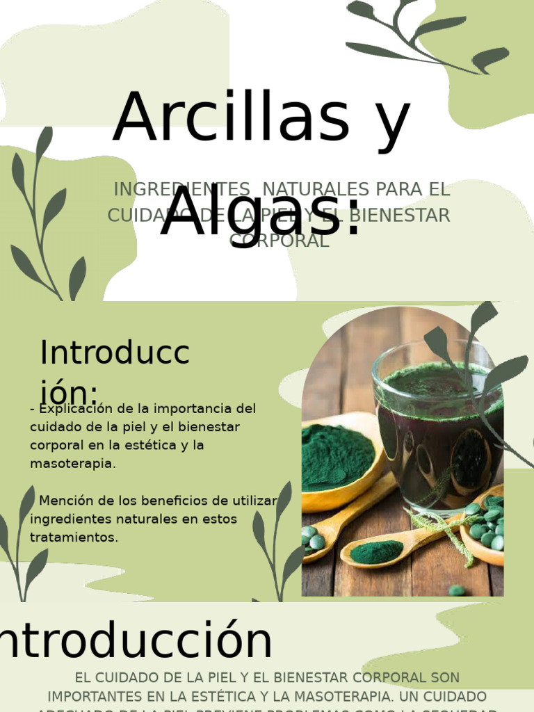 Presentación Centro de Estética Orgánico Verde - 20240107 - 071443 - 0000 | PDF | Algas | Masaje