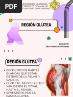 Glúteo Mayor - Origen, Inserción, Inervación, Función - Kenhub | PDF ...