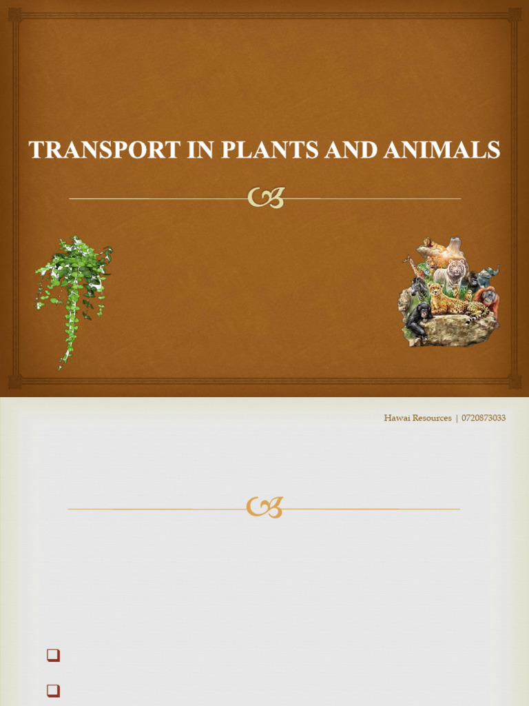 Transport in Plants & Animals - Hawai Resources | PDF | Blood Vessel | Blood