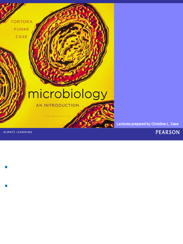 CH - 04 - Lecture - Mod Prok and Euk Cell Structure Mod | PDF | Endoplasmic Reticulum | Cell ...