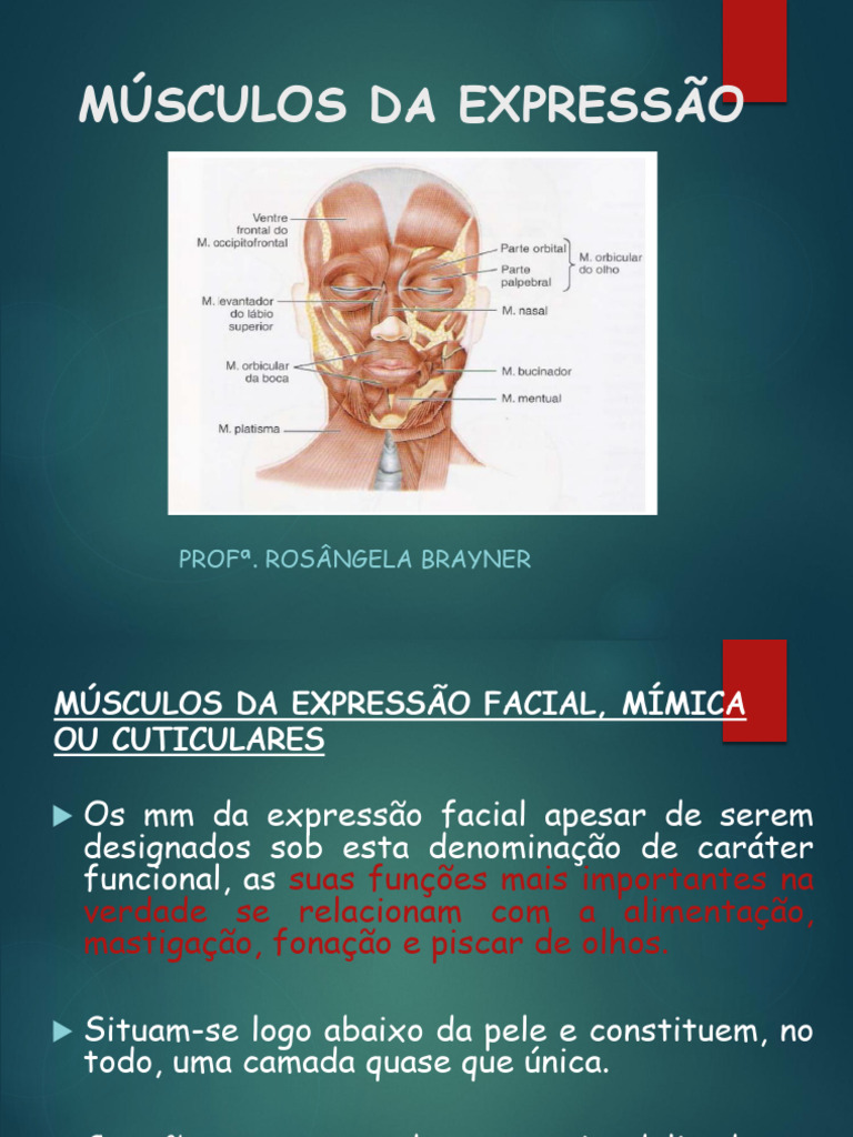 Músculos da Expressão Facial e Funções | PDF | Boca | Músculo