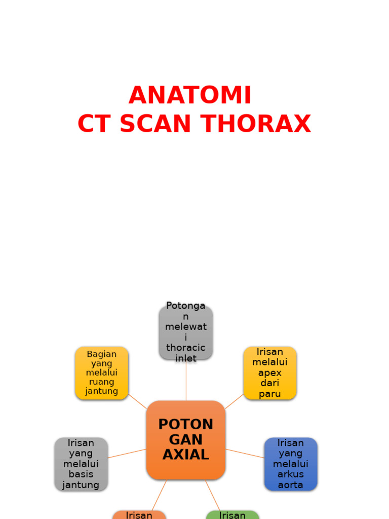 Anatomi-Crossectional-Thorax Rev 1 | PDF