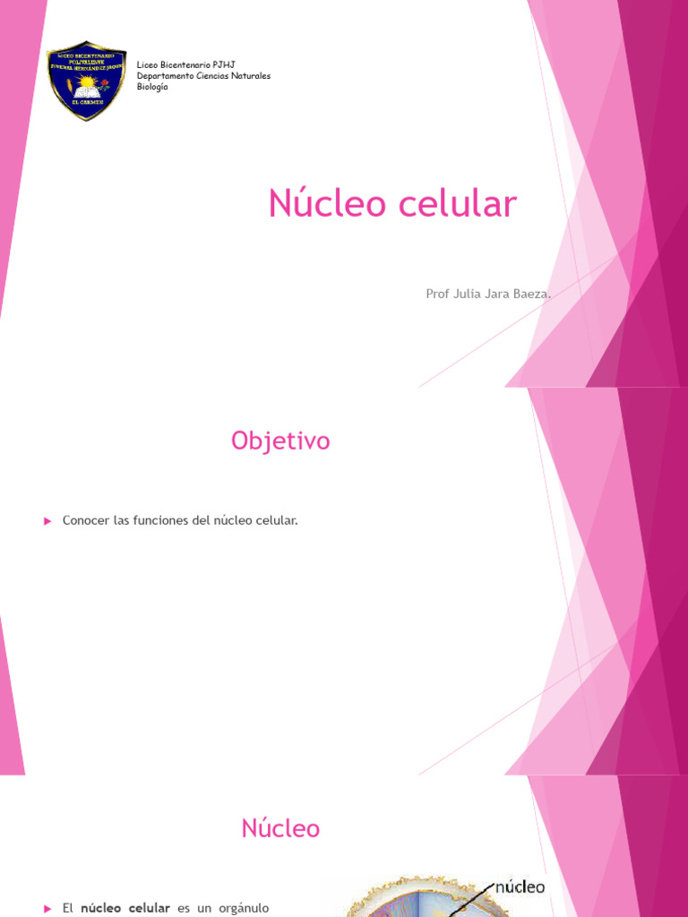 Núcleo Celular | PDF | Nucleo celular | Biología Celular)