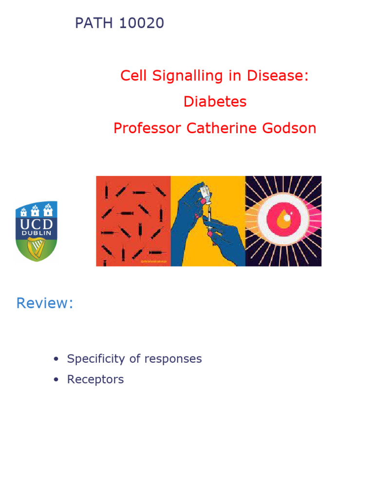 Cell Signaling in Disease Lecture 4 PDF | PDF | Insulin | Diabetes