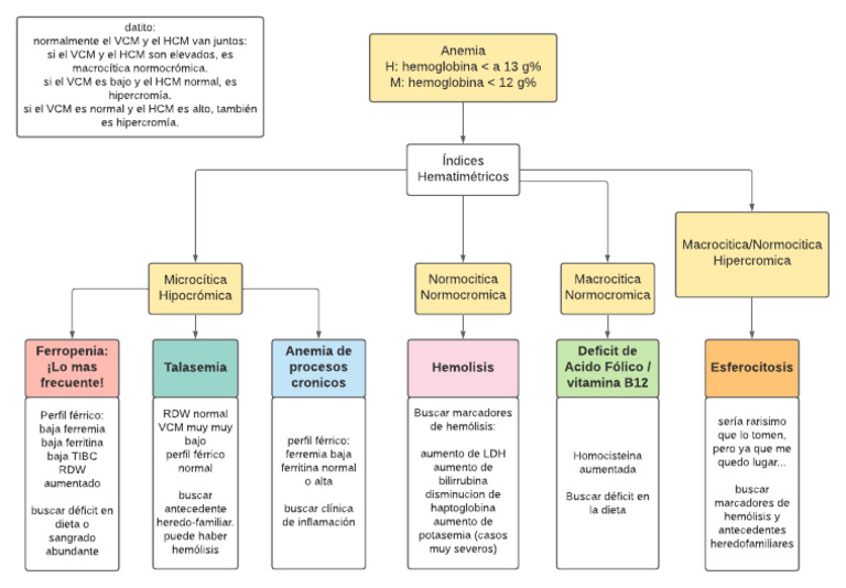 Tipos de Anemia: Diagnóstico y Causas | PDF | Especialidades Medicas ...