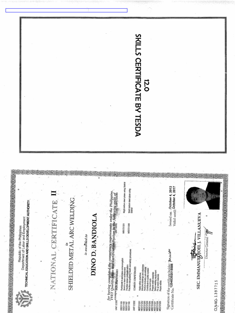 Skill Certificate by TESDA | PDF