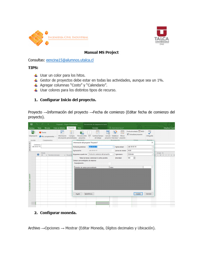 Manual MS Project (Ayudantía) | PDF