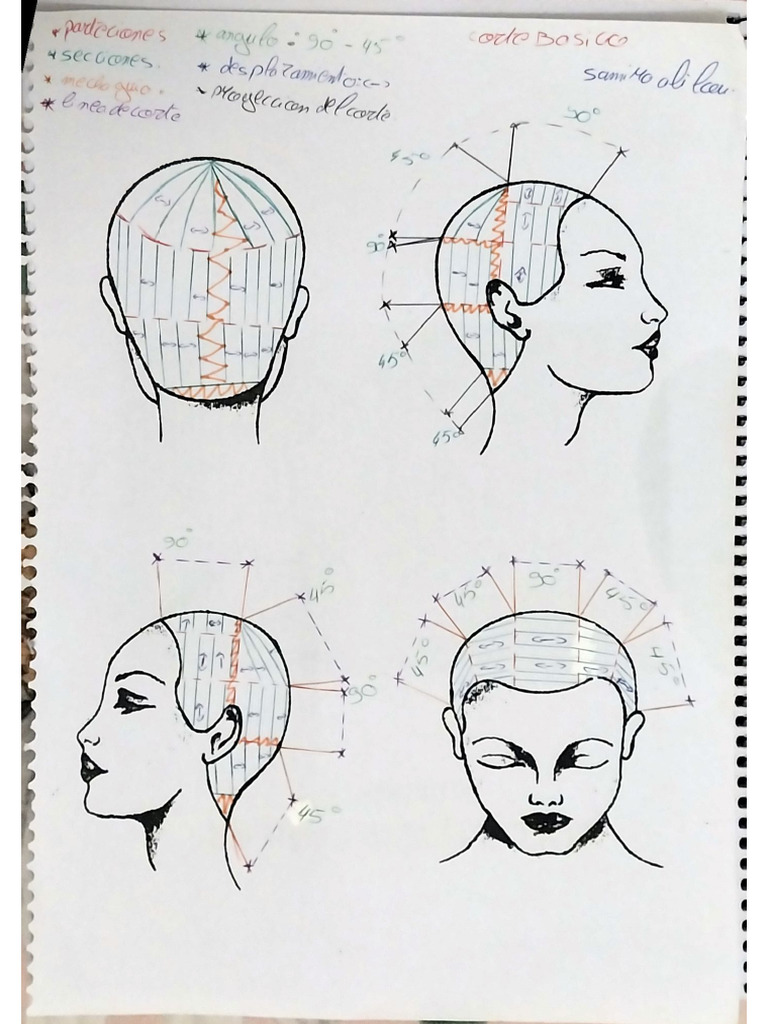 Corte B-Sico (29 Sept 2024 A La(s) 21-09) | PDF