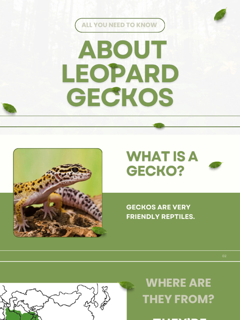 Friendly Geckos: Origin and Traits | PDF