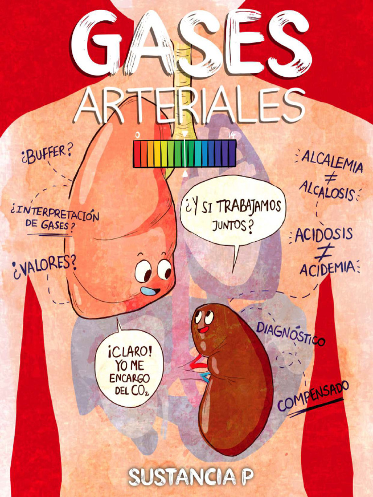 Gases Arteriales en Esquemas | PDF
