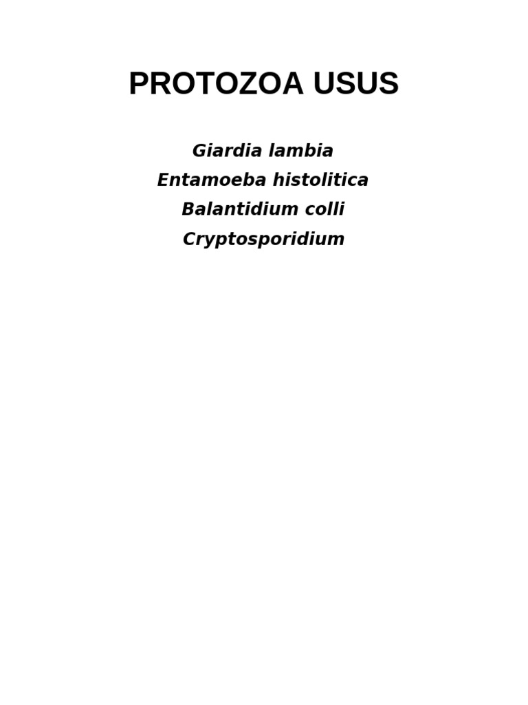 Infeksi Protozoa Usus: Gejala & Terapi | PDF