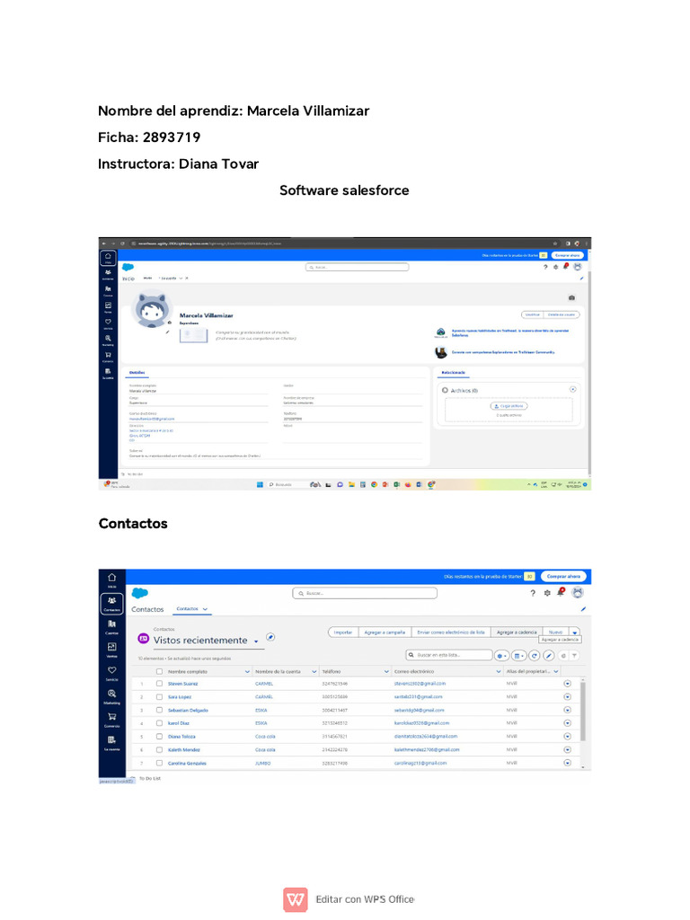 Software Salesforce | PDF