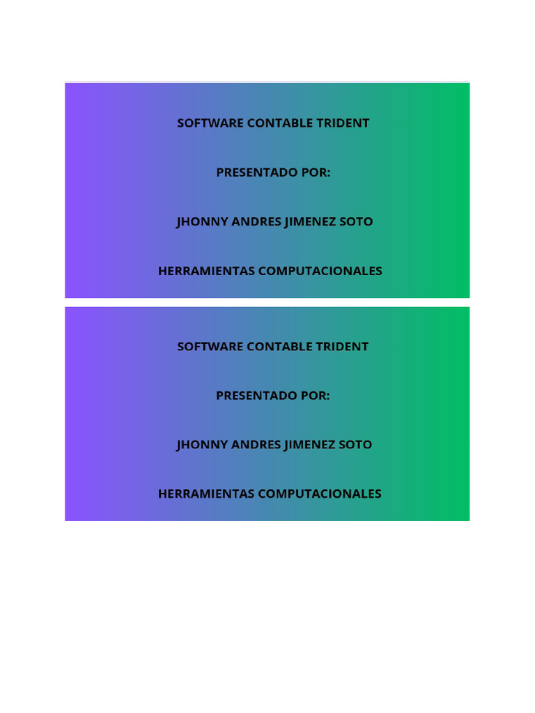 Software Contable Trident | PDF