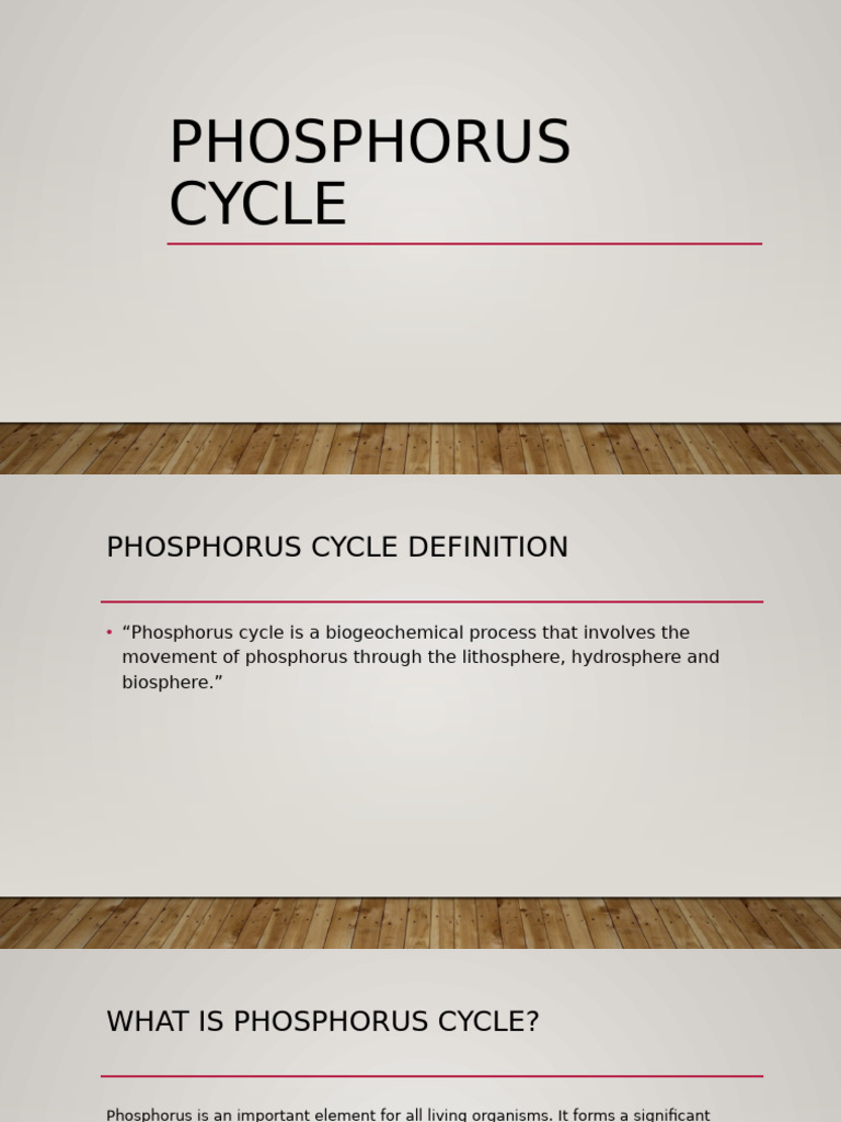 Understanding the Phosphorus Cycle | PDF