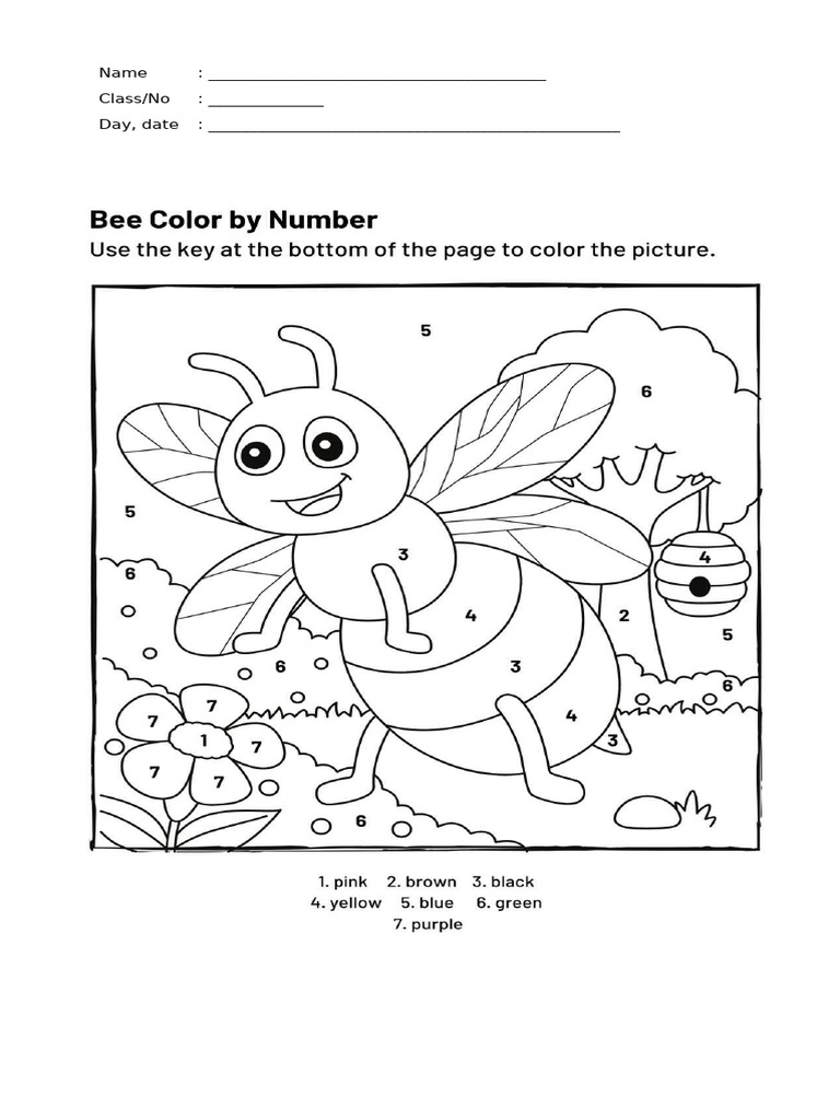 WS Colors and Shapes | PDF