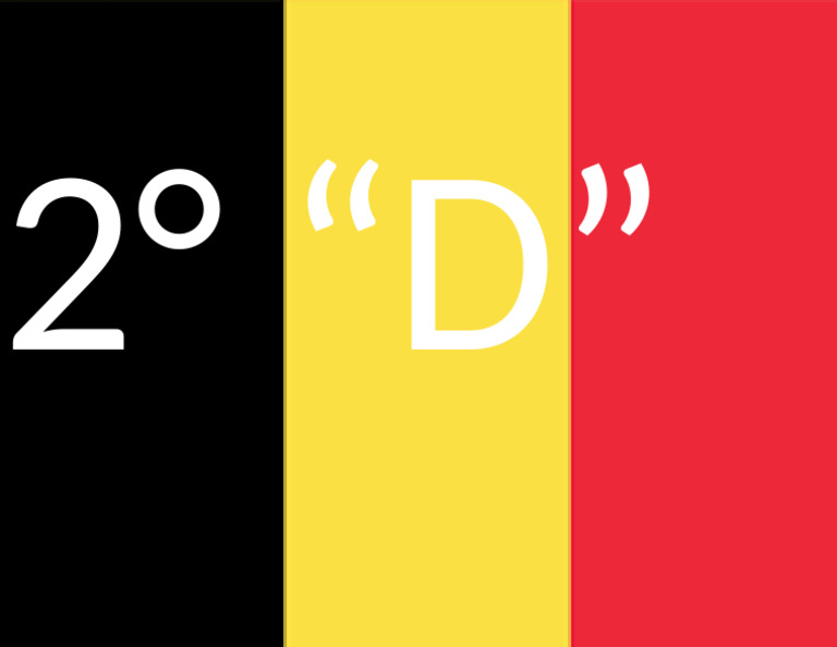 BANDERA DNDNDND | PDF