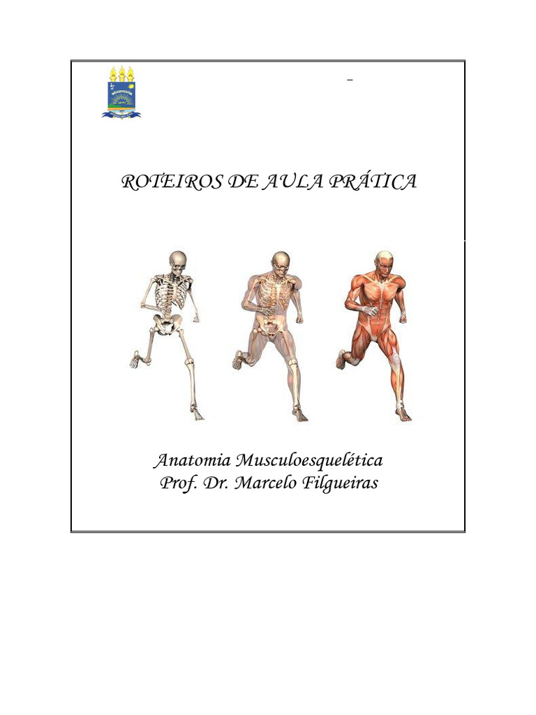 Roteiro Aulas Práticas | PDF | Sistema Locomotor | Anatomia humana