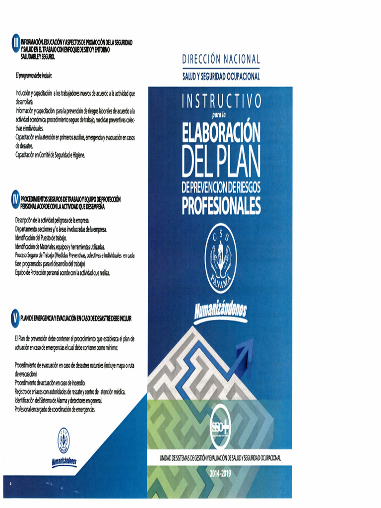 Instructivo PPRP | PDF