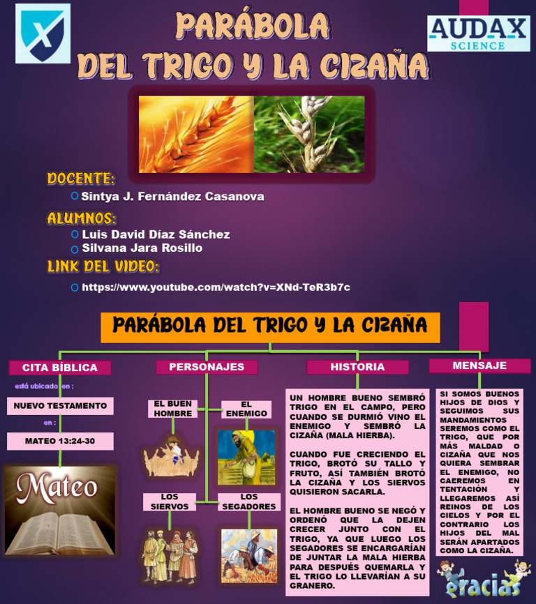 Parábola Del Trigo y La Cizaña | PDF