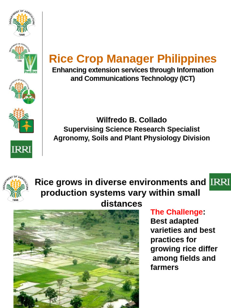 Rice Crop Manager | PDF | Rice | Crop Yield