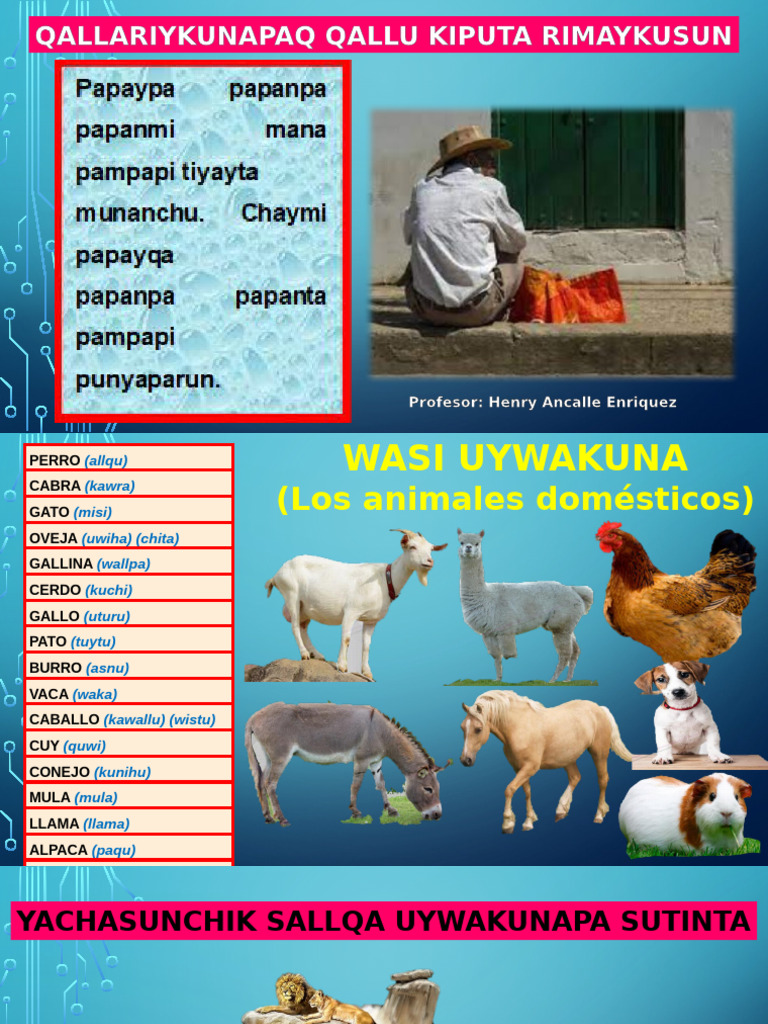 Conejo en Quichua: Kunihu | PDF