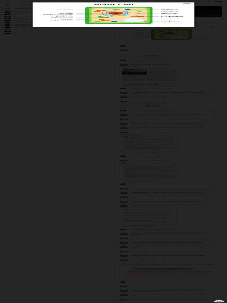 English Class 7th Grade Advanced Secundaria | PDF