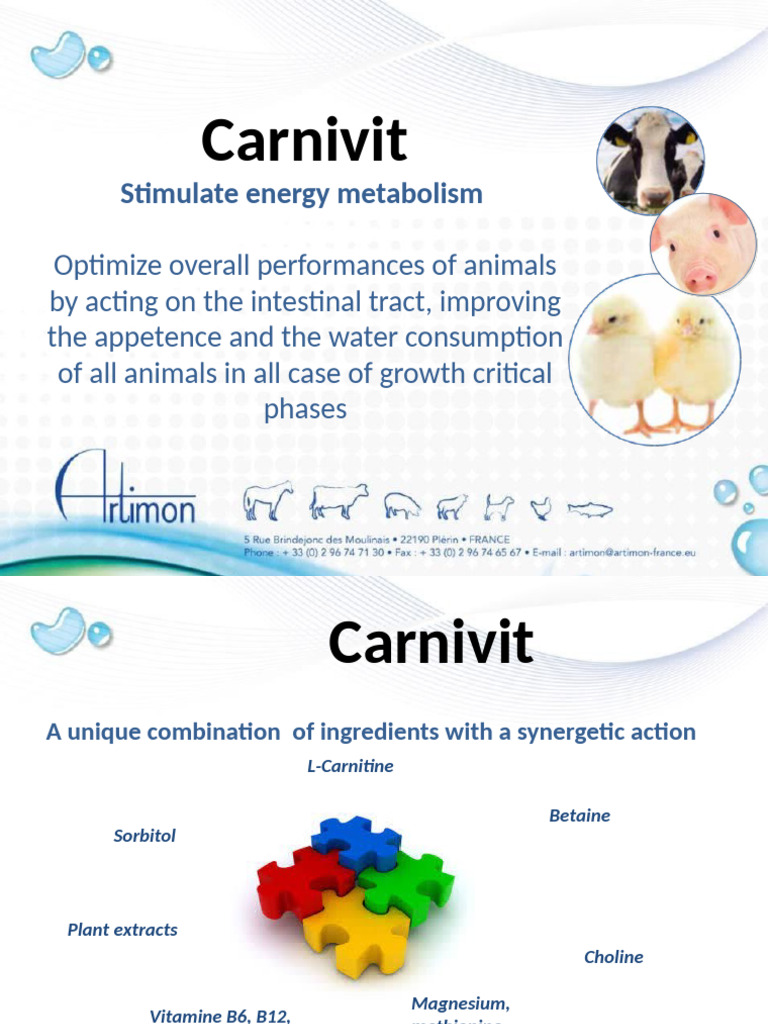 Carnivit - Technical Presentation | PDF | Metabolism | Molecular Biophysics