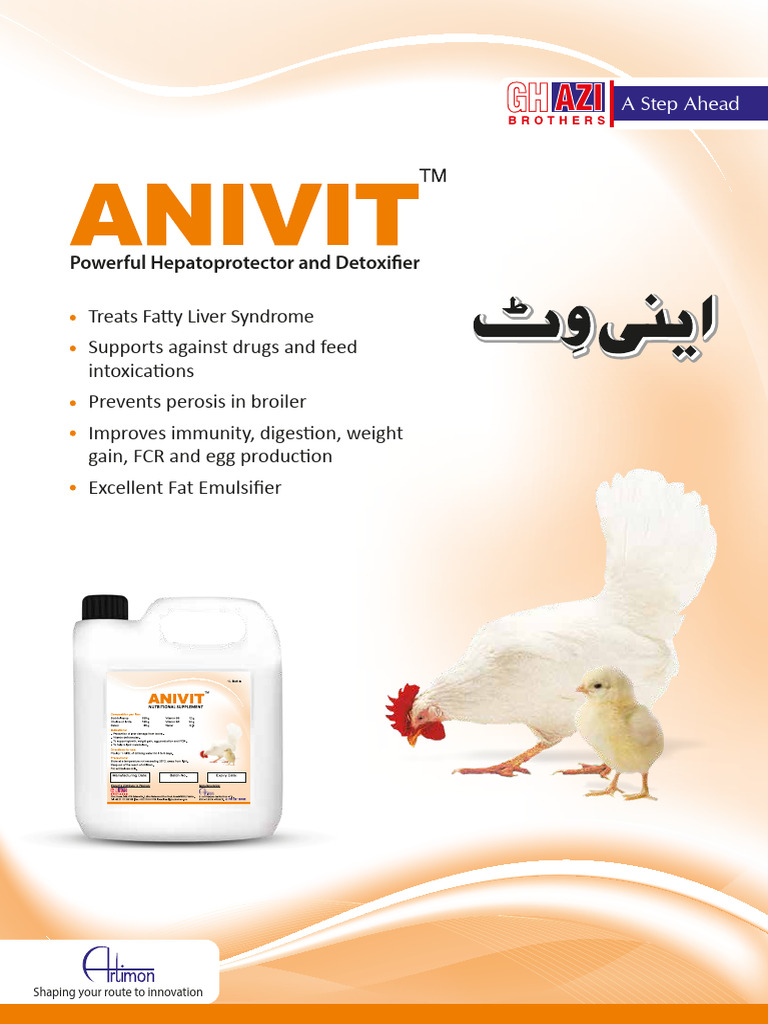 Hepatoprotector for Fatty Liver Syndrome | PDF