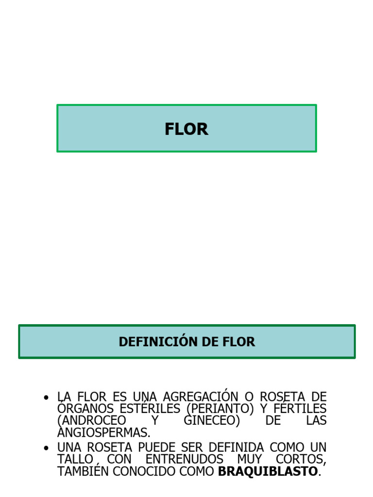 Estructura Floral, Anatomía | PDF | Flores | Ramas de la botánica