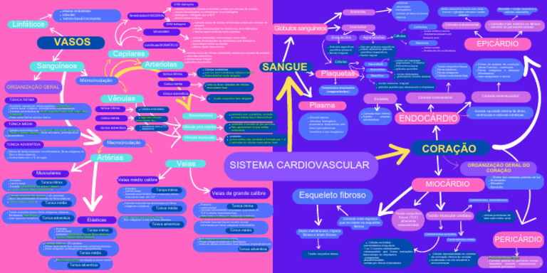 Mapa Conceitual 1 Histo | PDF | Endotélio | Glóbulo branco