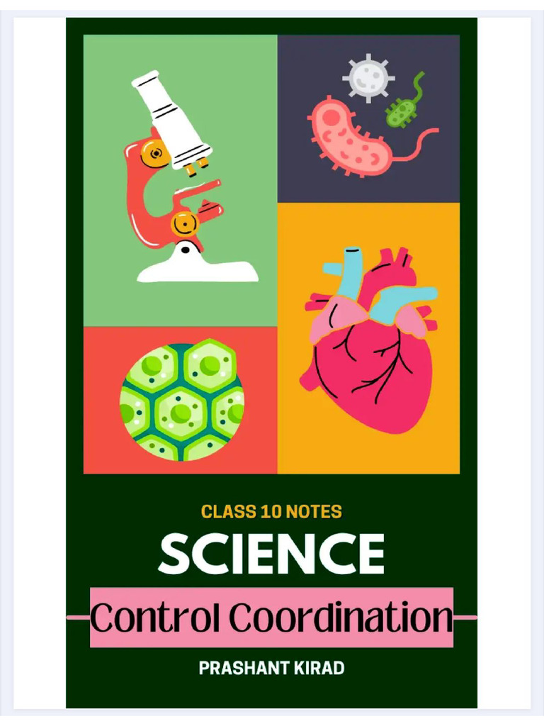 IT Notes Class 10 | PDF