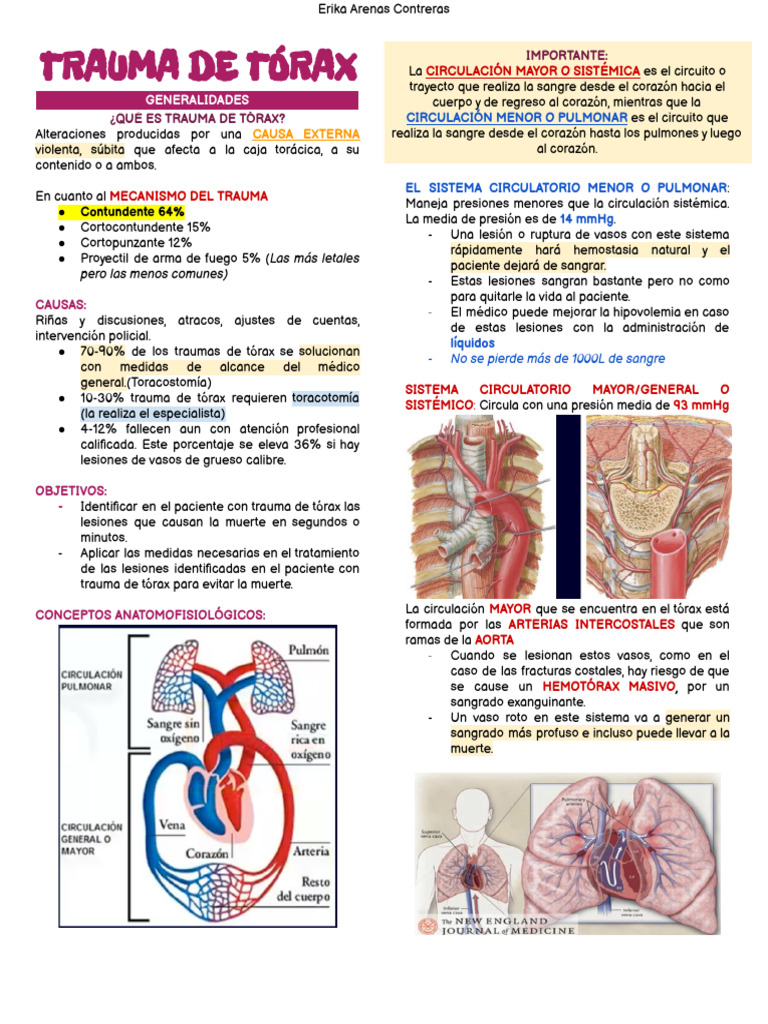 Trauma de Tórax | PDF | Pulmón | Especialidades Medicas