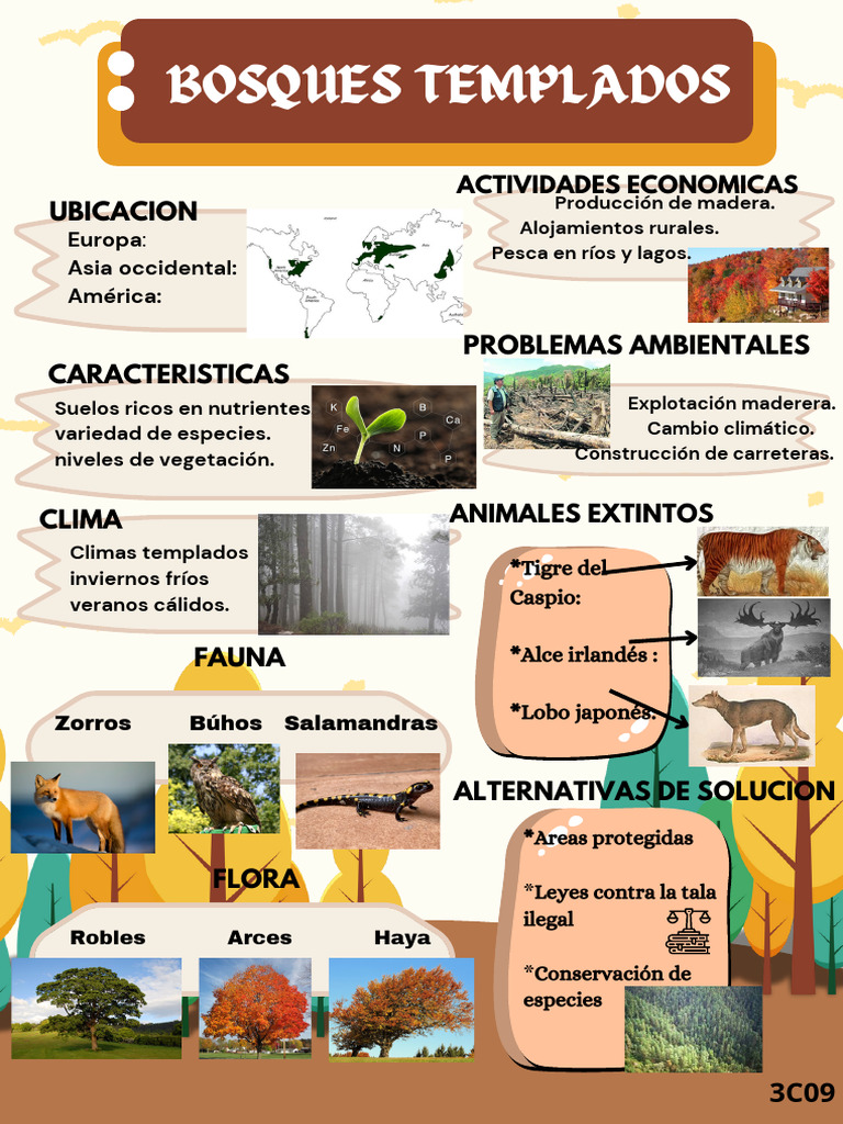 Bosques Templados: Flora, Fauna y Retos | PDF