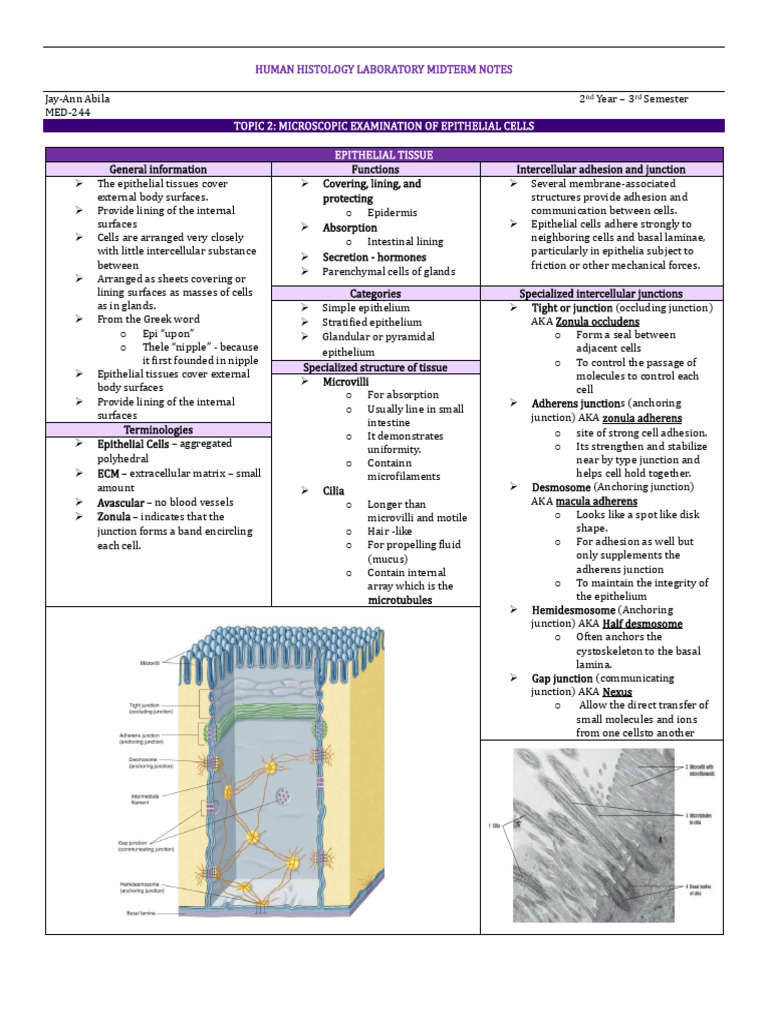 Topic 2 Epithelial Cells | PDF | Epithelium | Animal Anatomy
